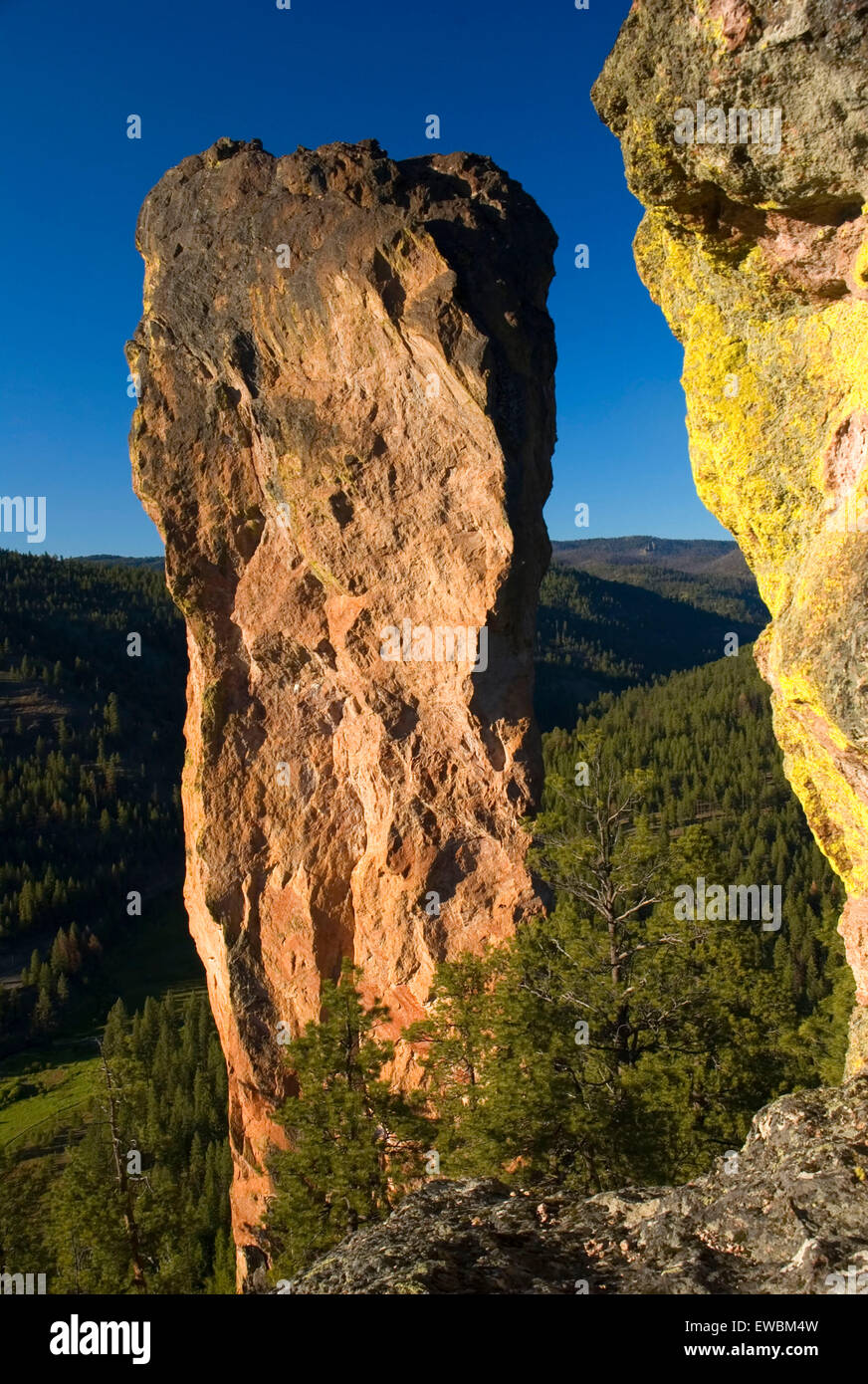 Steins Pillar from Steins Pillar Trail, Ochoco National Forest, Oregon ...