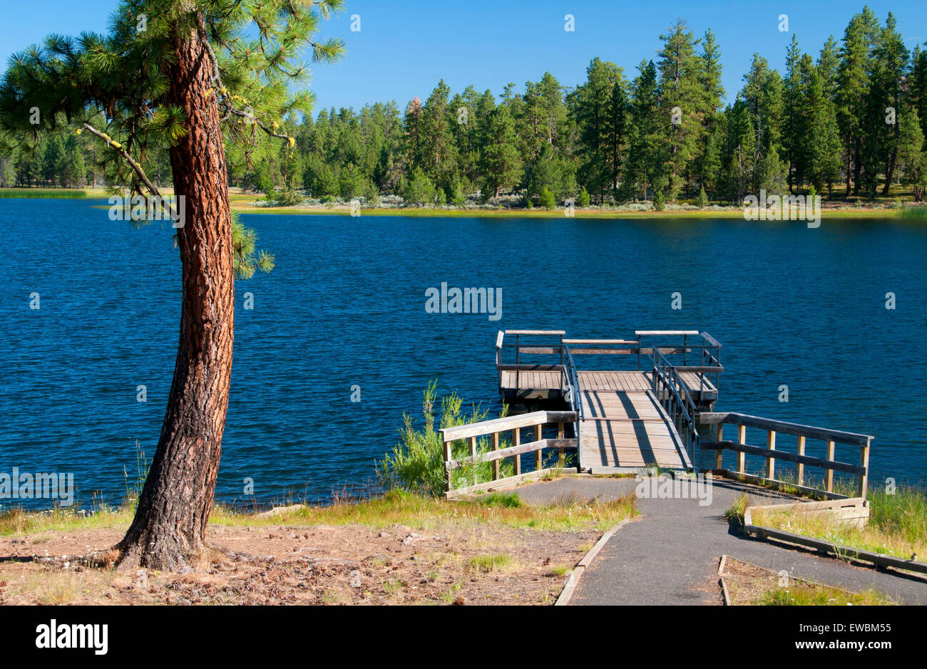 Fishing dock on Delintment Lake, Ochoco National Forest, Oregon Stock ...