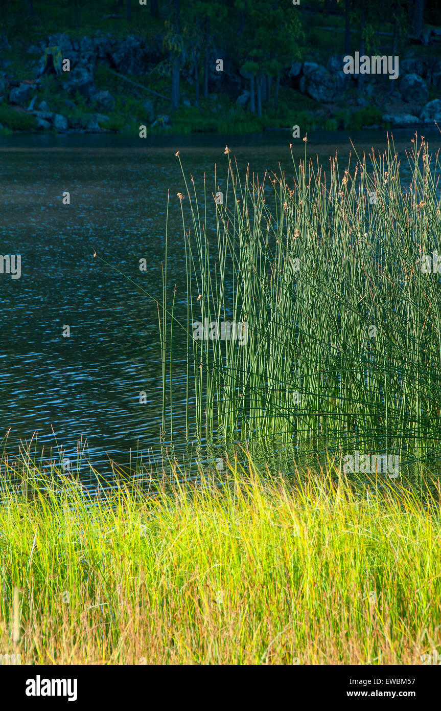 Delintment Lake, Ochoco National Forest, Oregon Stock Photo - Alamy