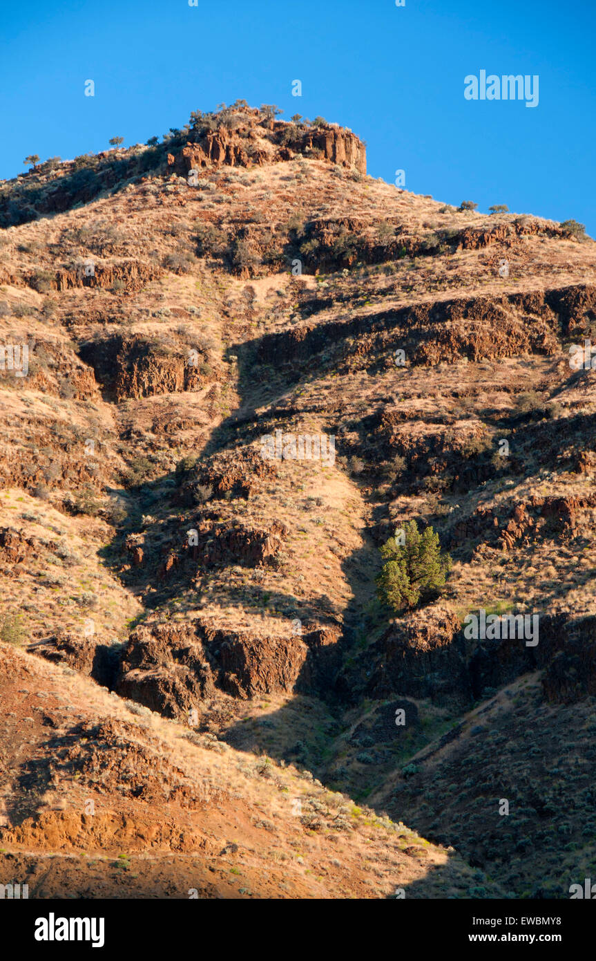 Basalt cliffs, John Day Fossil Beds National Monument-Sheep Rock Unit ...