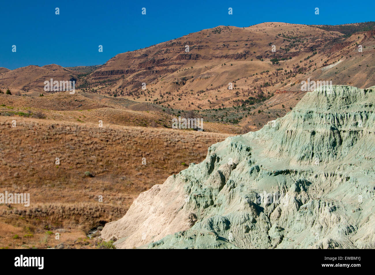 Green claystone at Foree, John Day Fossil Beds National Monument-Sheep ...