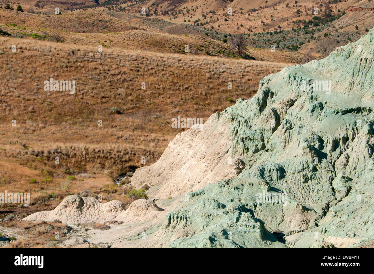 Green claystone at Foree, John Day Fossil Beds National Monument-Sheep ...