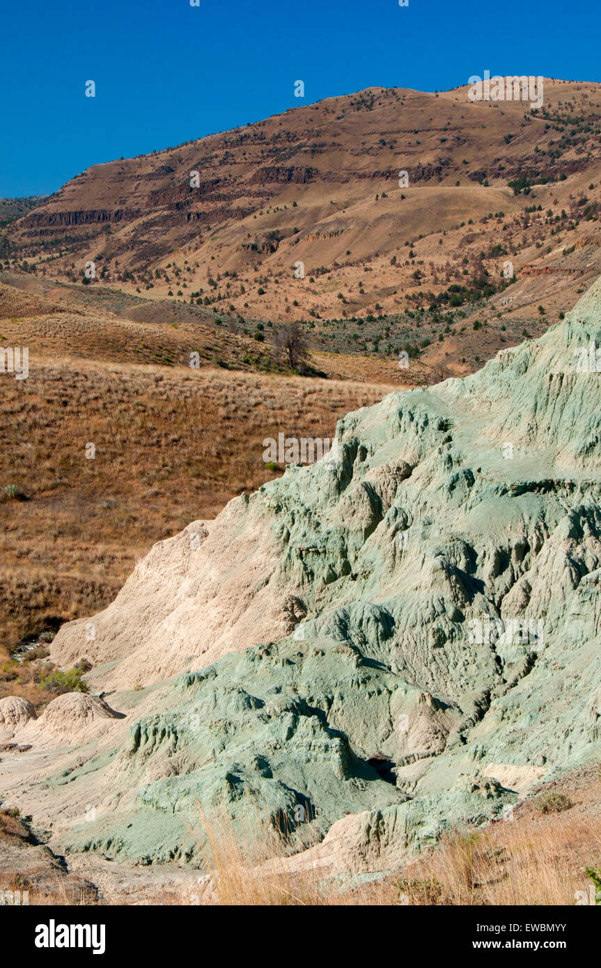 Green claystone at Foree, John Day Fossil Beds National Monument-Sheep ...
