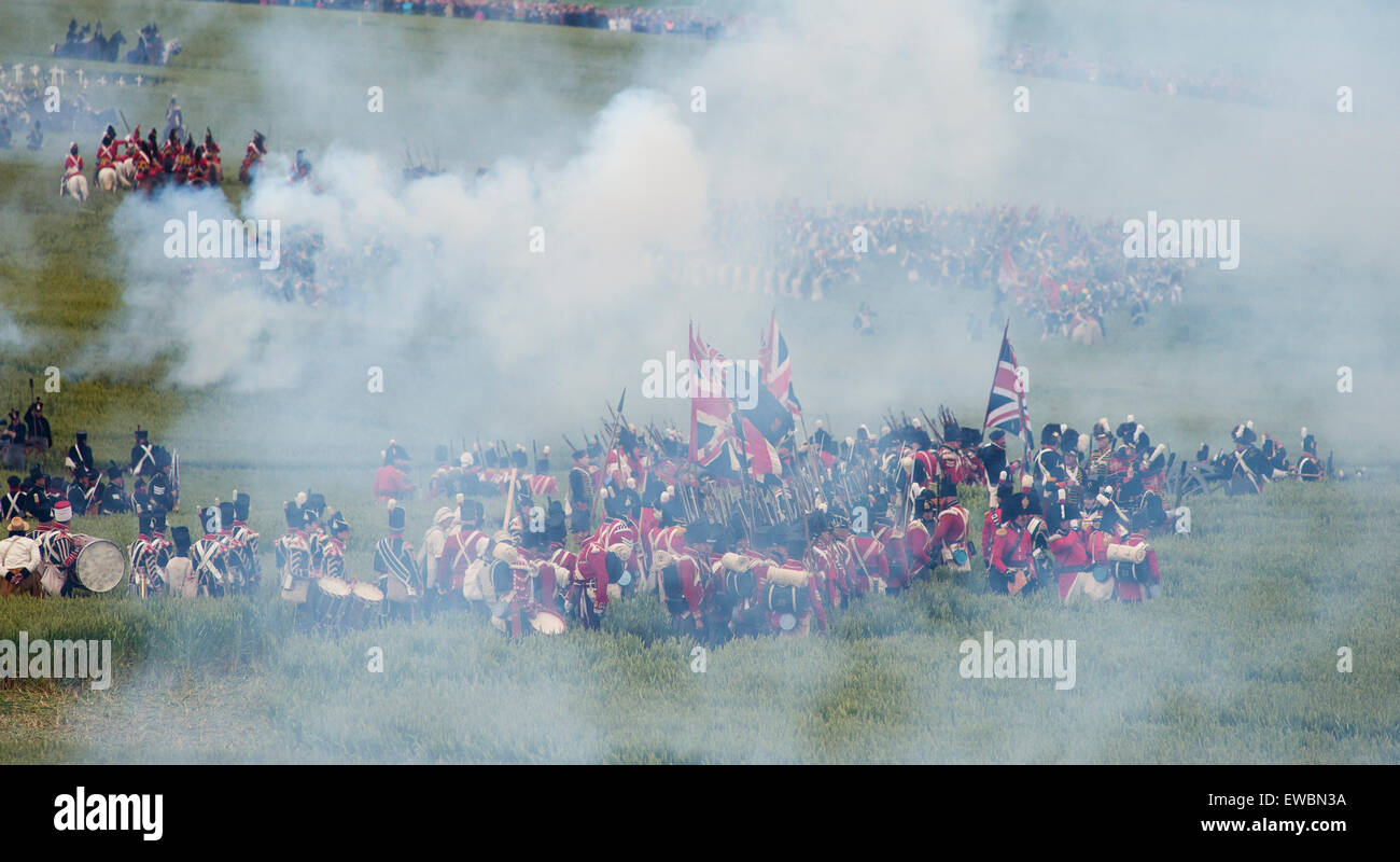 The battle of waterloo flags hi-res stock photography and images - Alamy