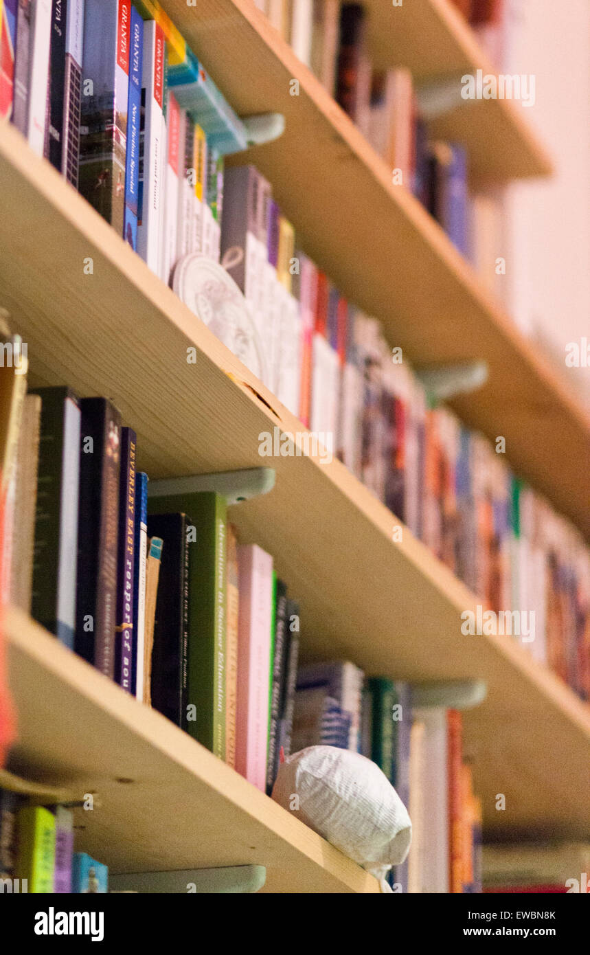 Bookshelf shelf shelves bookshelves bookcase hi-res stock photography ...
