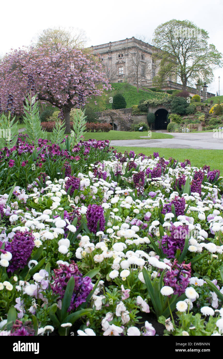 Spring at Nottingham Castle, Nottinghamshire England UK Stock Photo - Alamy