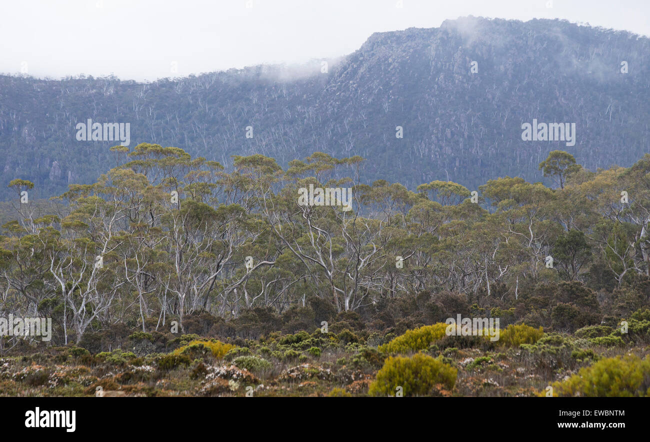 Alpine plateau hi-res stock photography and images - Alamy