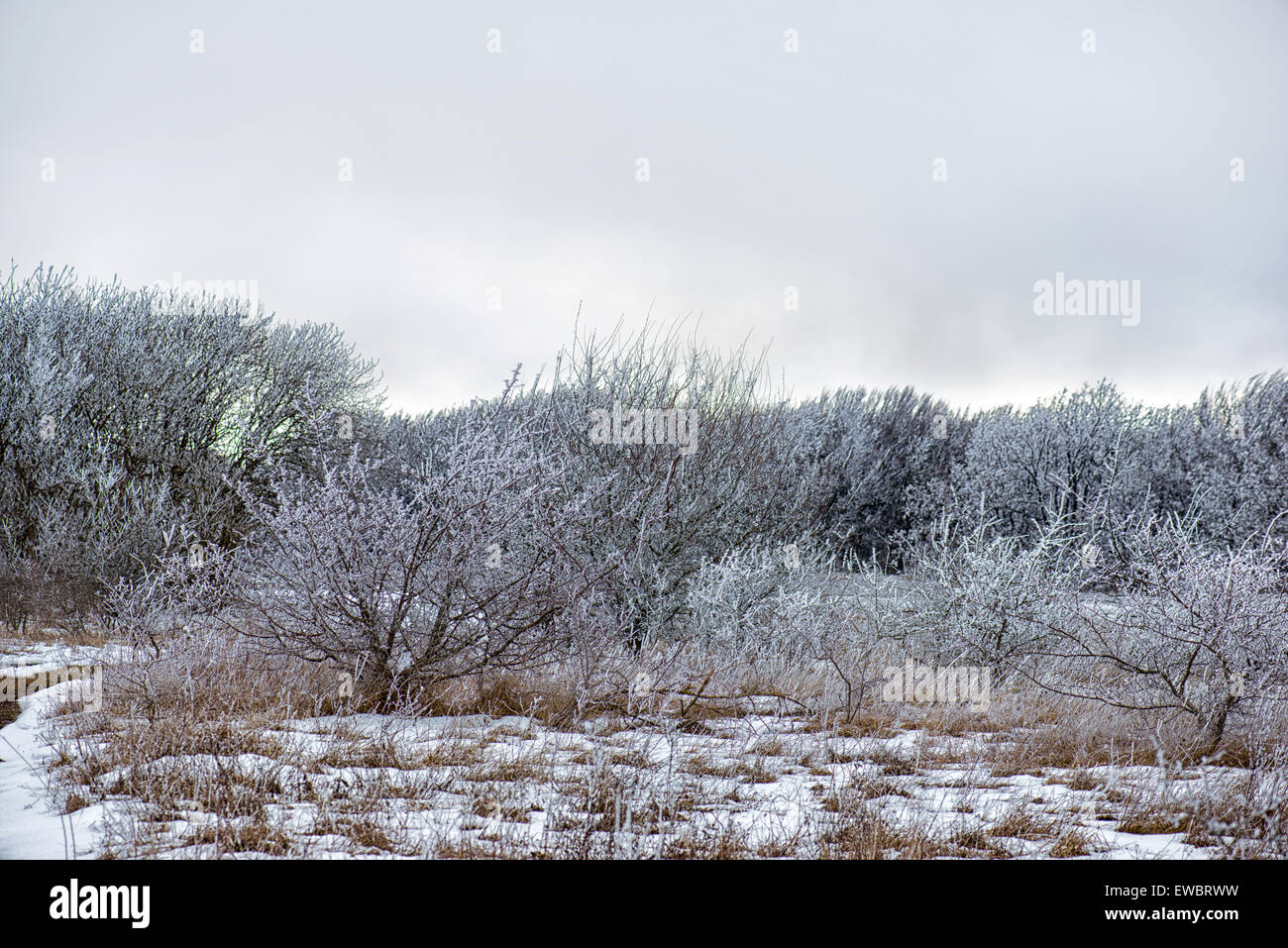 Winter landscape with hoarfrost hi-res stock photography and images - Alamy