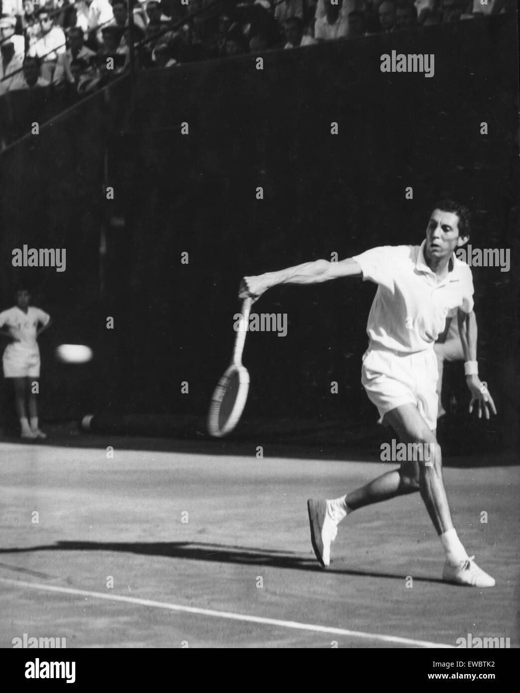 Gardini High Resolution Stock Photography and Images - Alamy