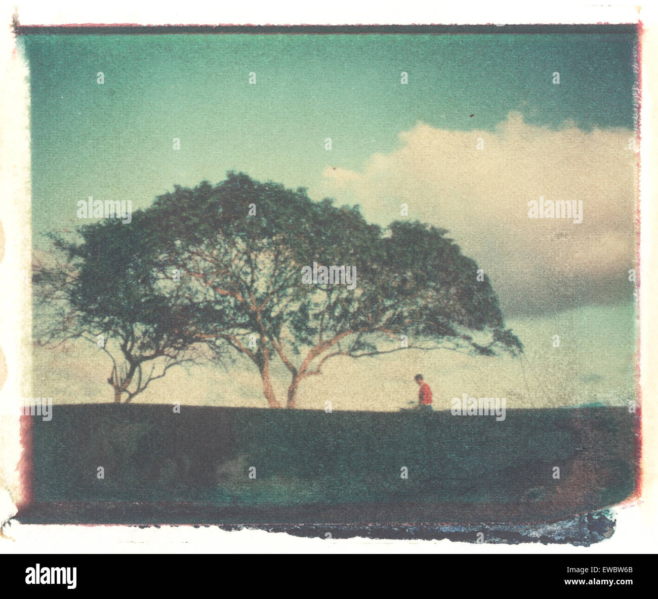 Polaroid transfer hi-res stock photography and images - Alamy