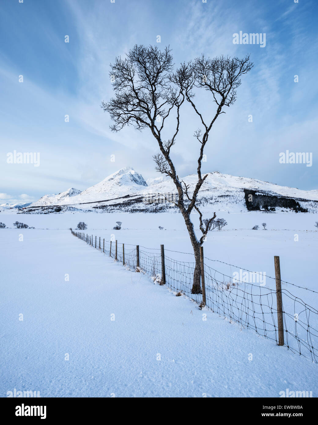 Winter barren field hi-res stock photography and images - Alamy