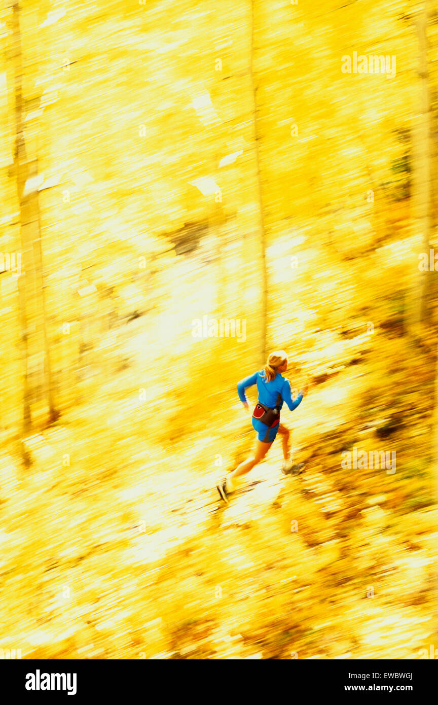 Trail running through the tree laiden forest of Colorado Stock Photo ...