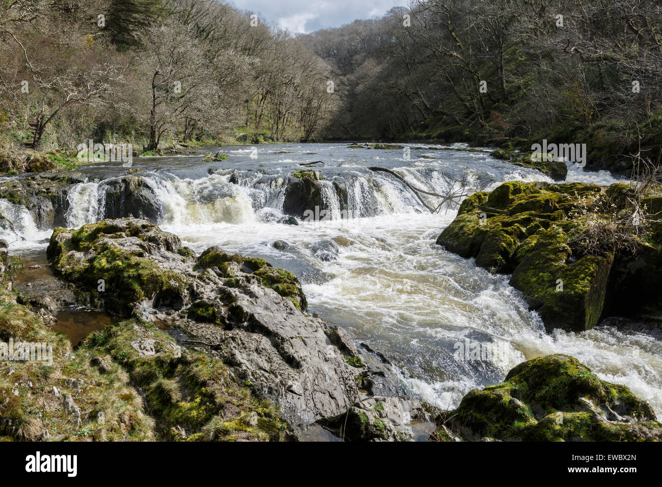 Cenarth falls hi-res stock photography and images - Alamy