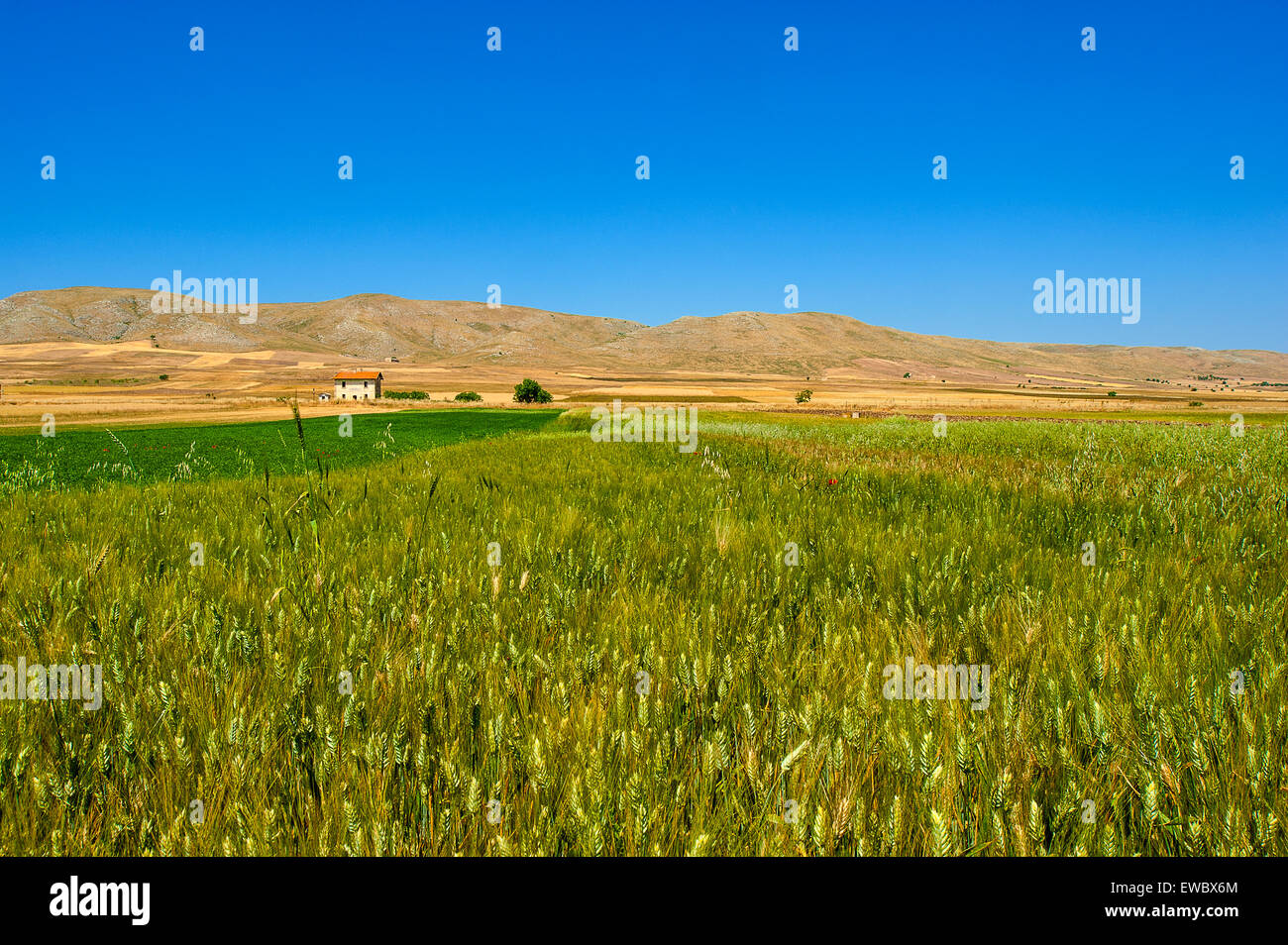 Italy Apulia Country in Province of Bari Stock Photo - Alamy