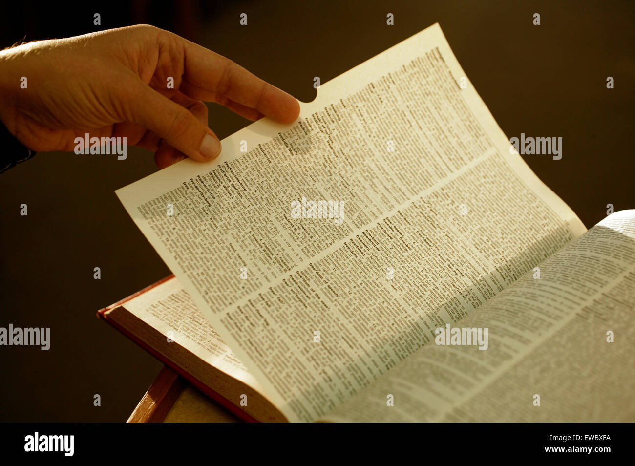 University of Texas at Austin Student Life Stock Photo - Alamy