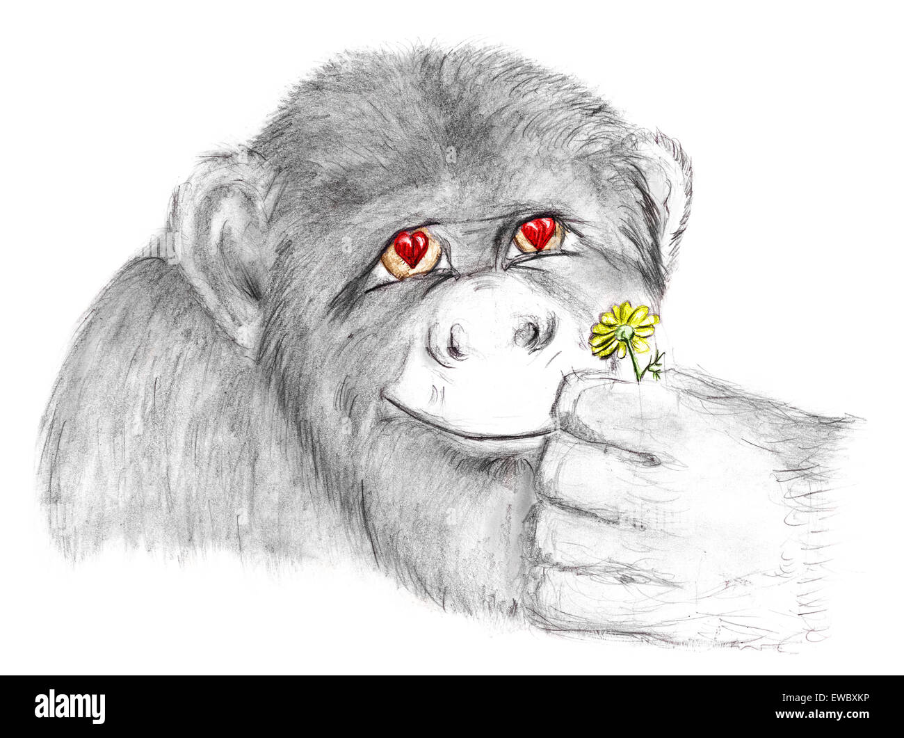 monkey with flower Stock Photo - Alamy