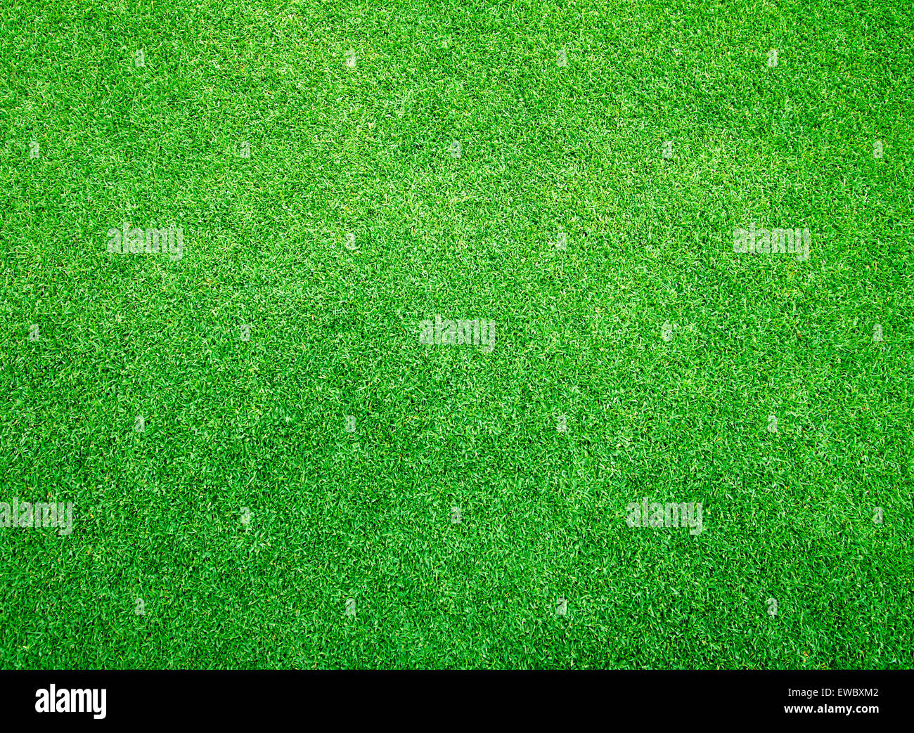 Golf Green Lawn abstract pattern background texture Stock Photo - Alamy