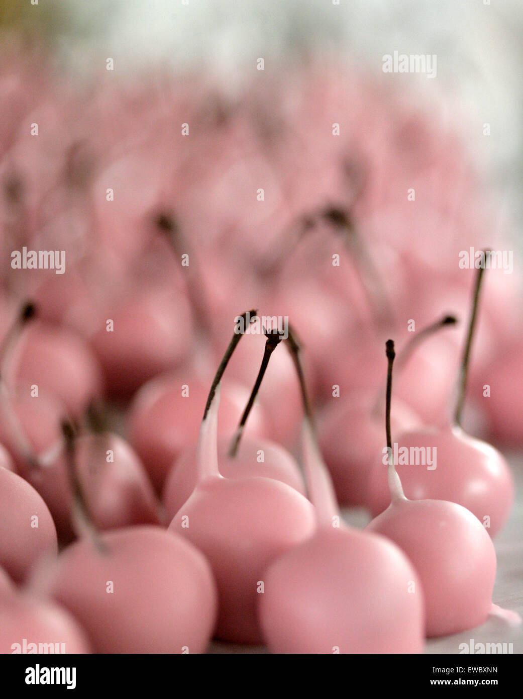 Pink candied cherries Stock Photo - Alamy