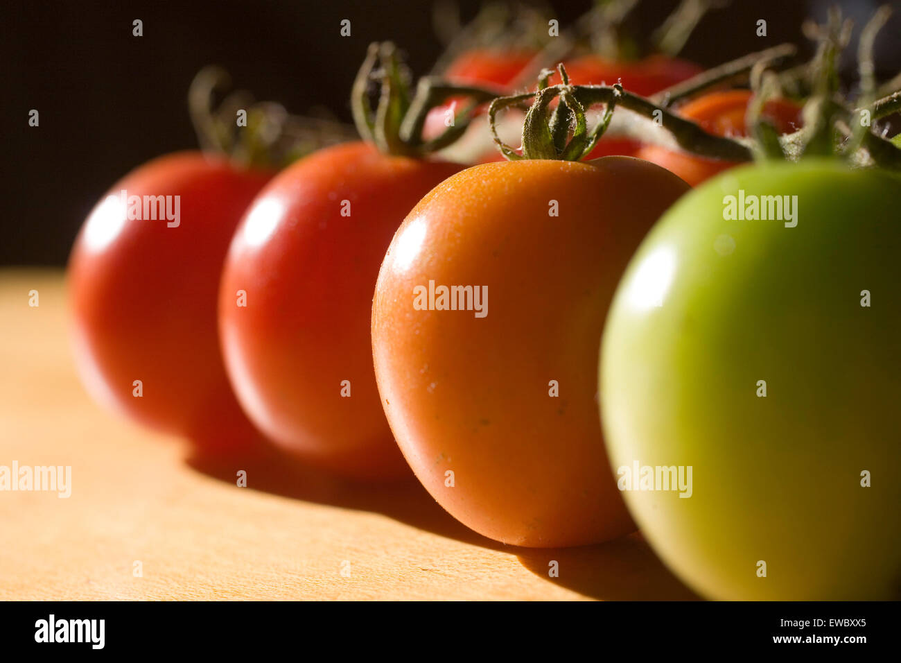 A row of small colorful tomatoes at different stages of ripeness Stock ...
