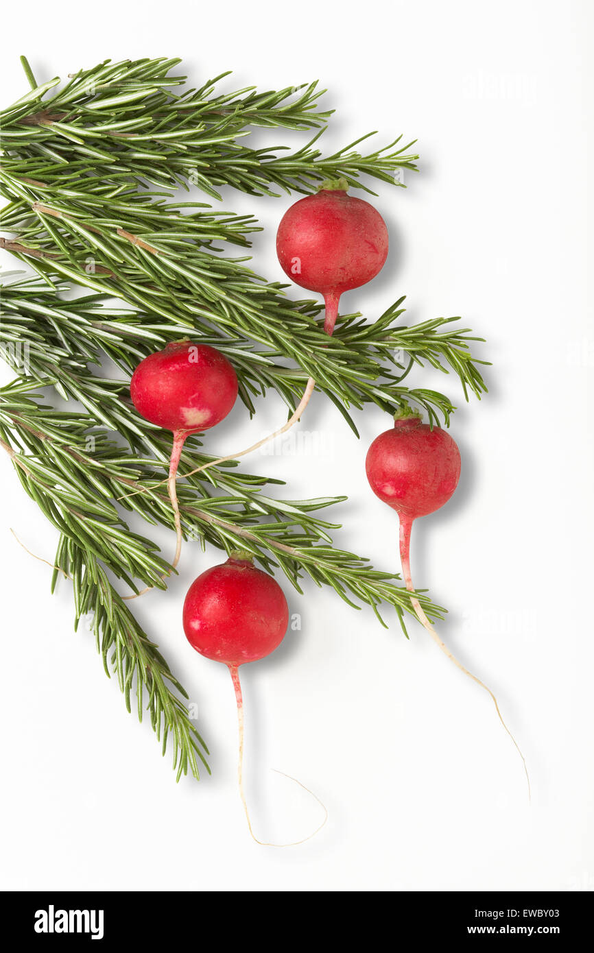 Turnips and rosemary that look like ornaments on a christmas tree Stock ...