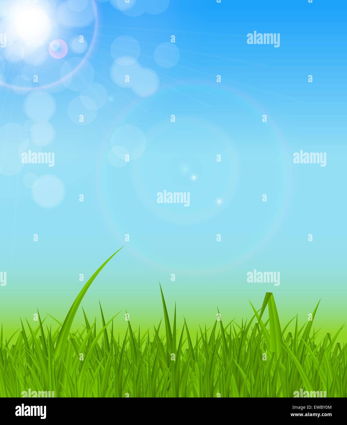 Natural Sunny Background Vector Illustration Stock Vector Image & Art ...