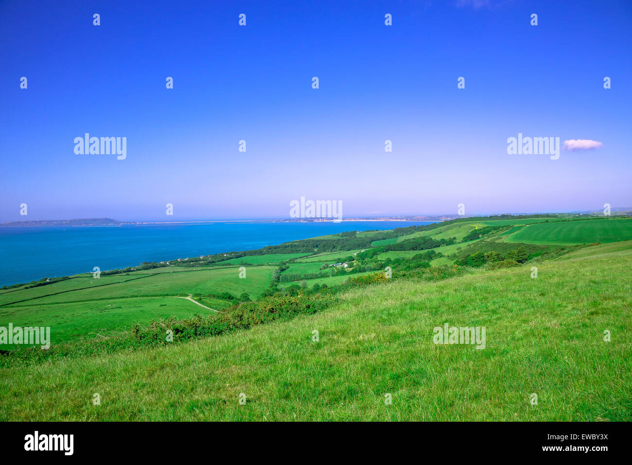 Hillside above Ringstead bay in Dorset Stock Photo - Alamy