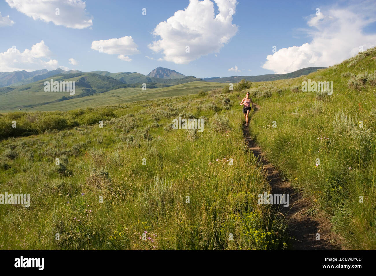 Woman trail running, Colorado Stock Photo - Alamy