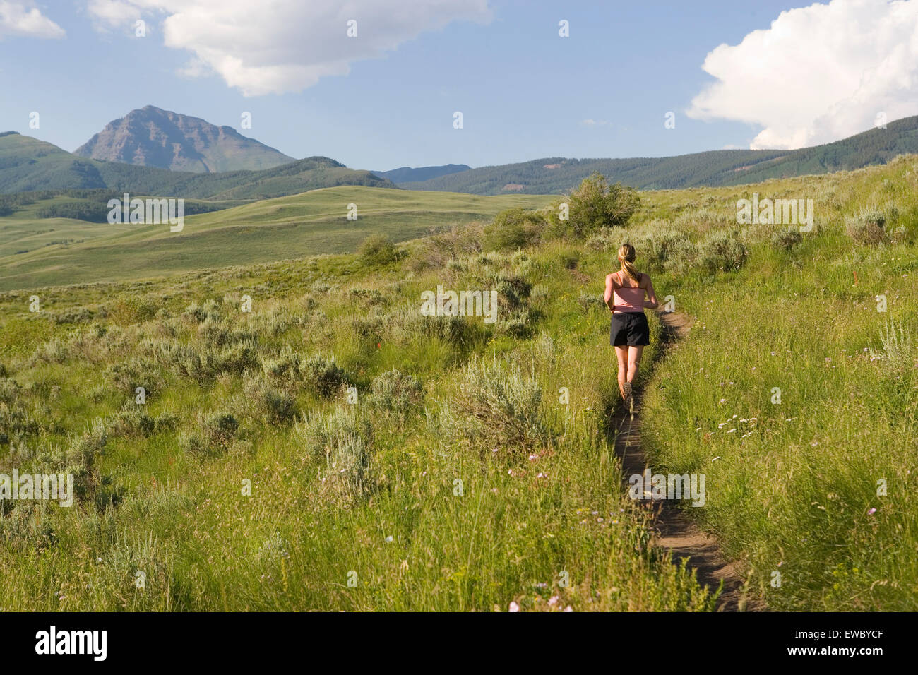 Woman trail running, Colorado Stock Photo - Alamy