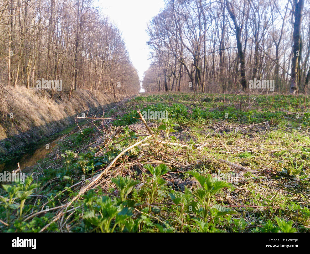 Video landscape river flow hi-res stock photography and images - Alamy