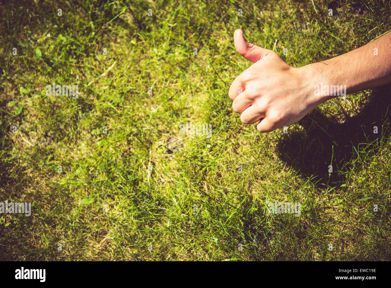 Human hand touching grass hi-res stock photography and images - Alamy