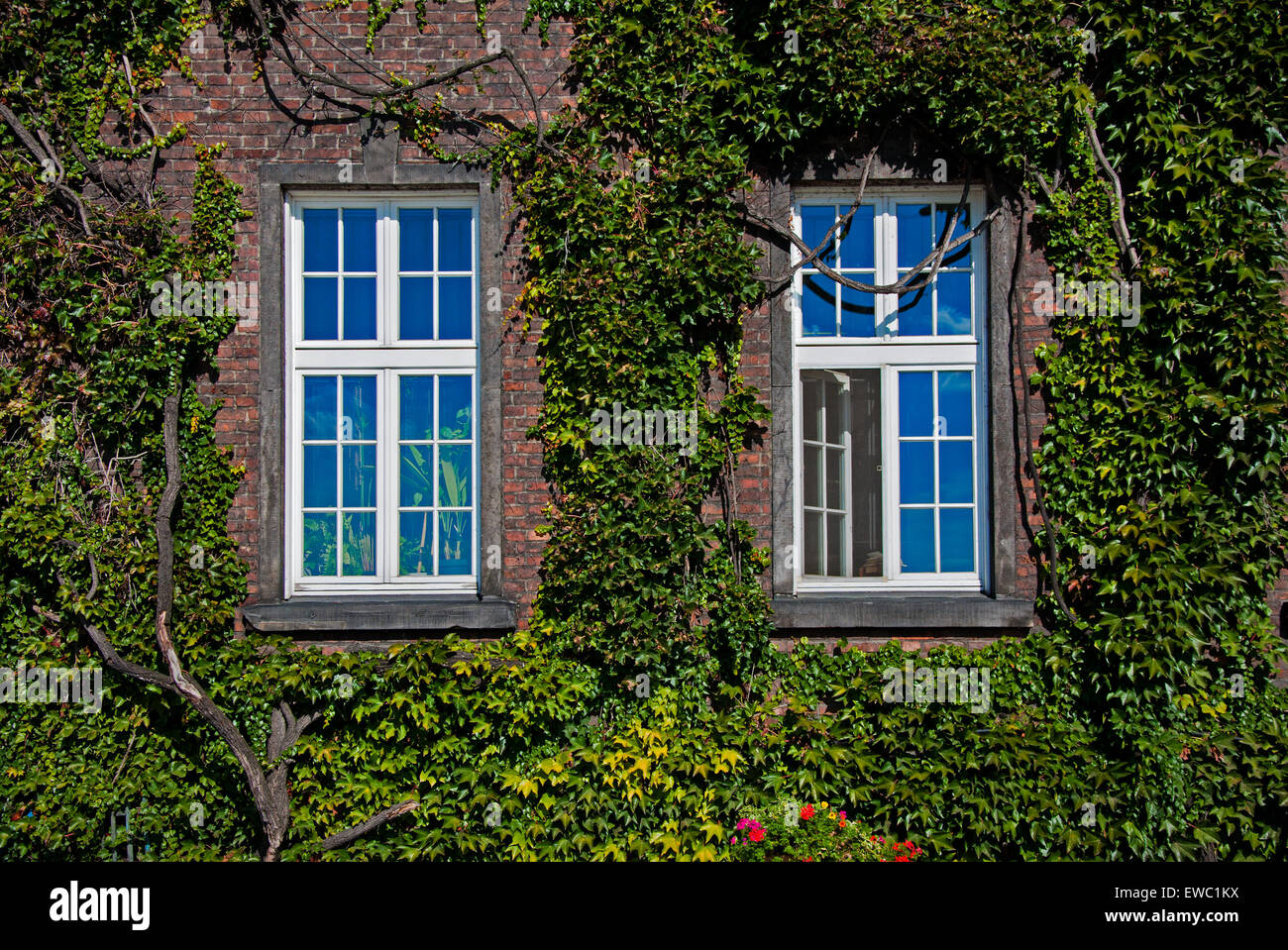 Windows for backgrounds and textures hi-res stock photography and ...