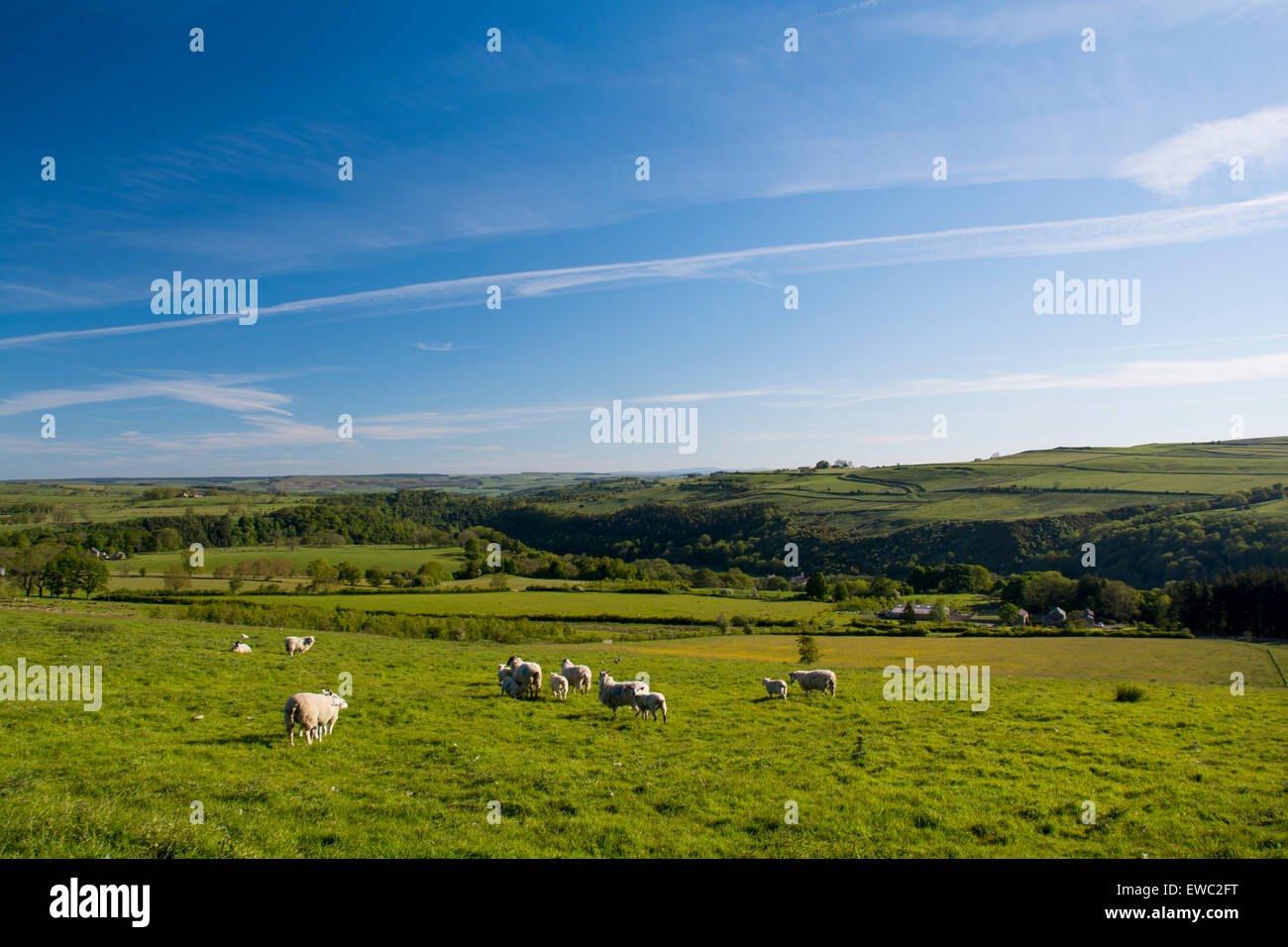 Field and hills hi-res stock photography and images - Alamy
