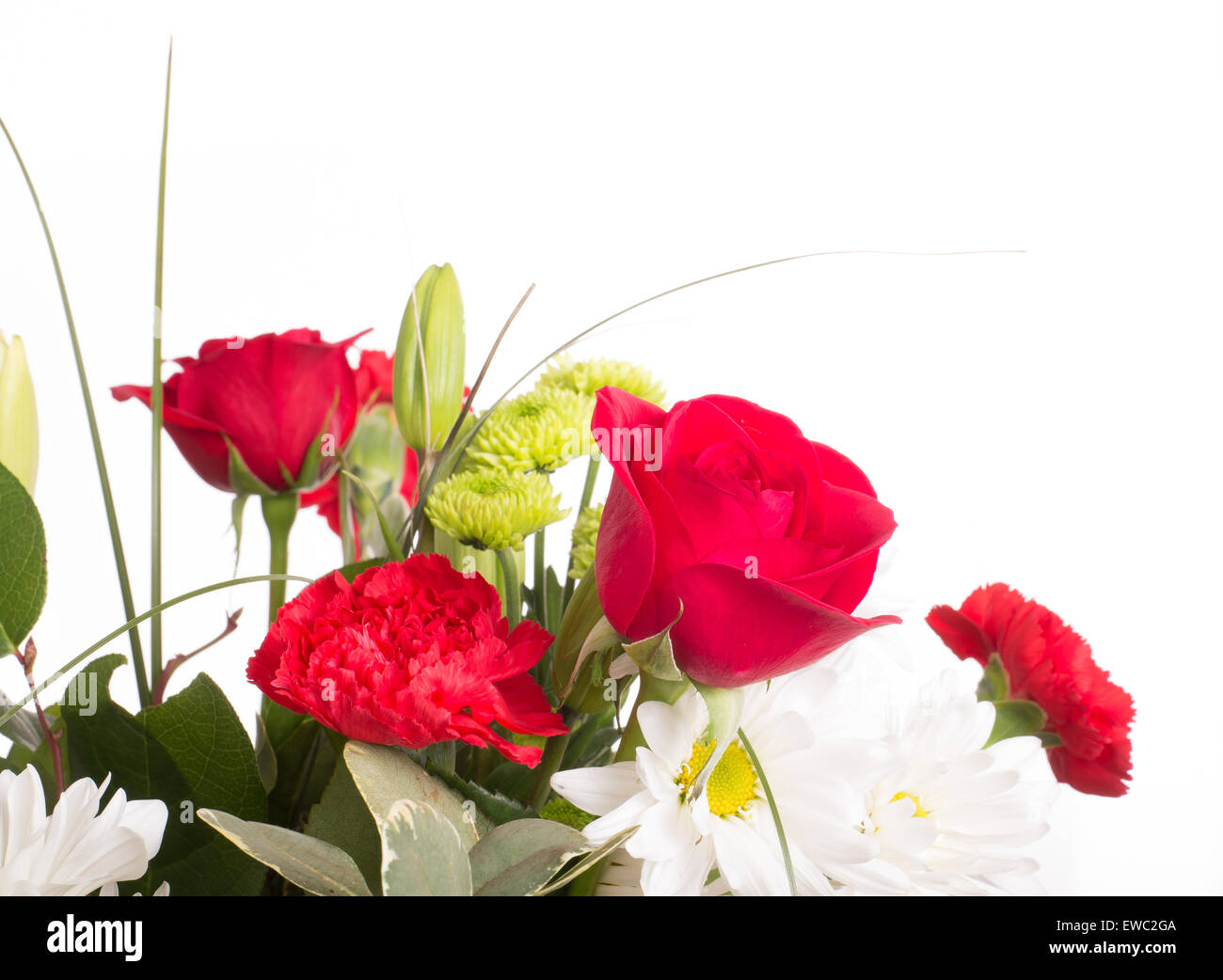 Spring roses hi-res stock photography and images - Alamy