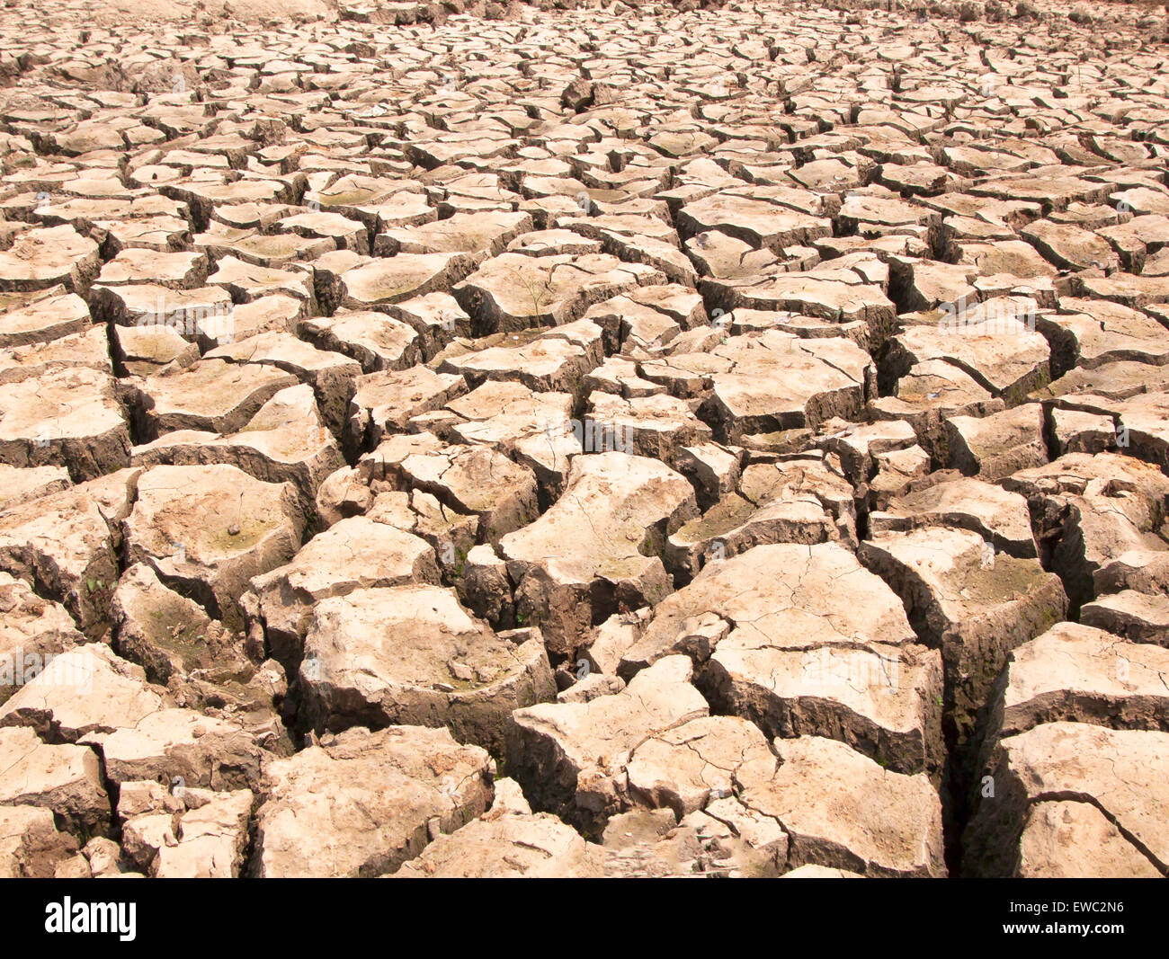 Parched soil hi-res stock photography and images - Alamy