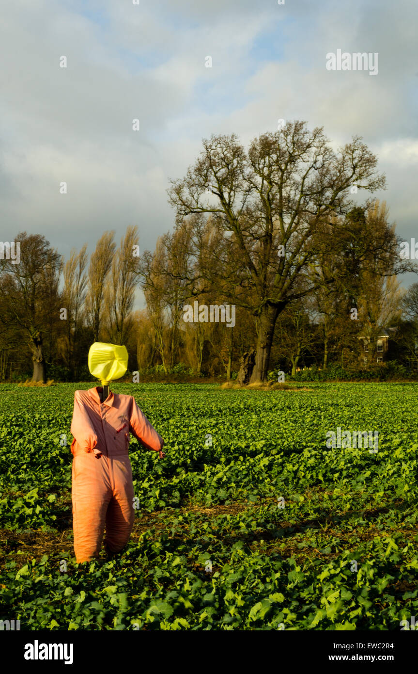 A scarecrow in a field wearing orange overalls Stock Photo - Alamy