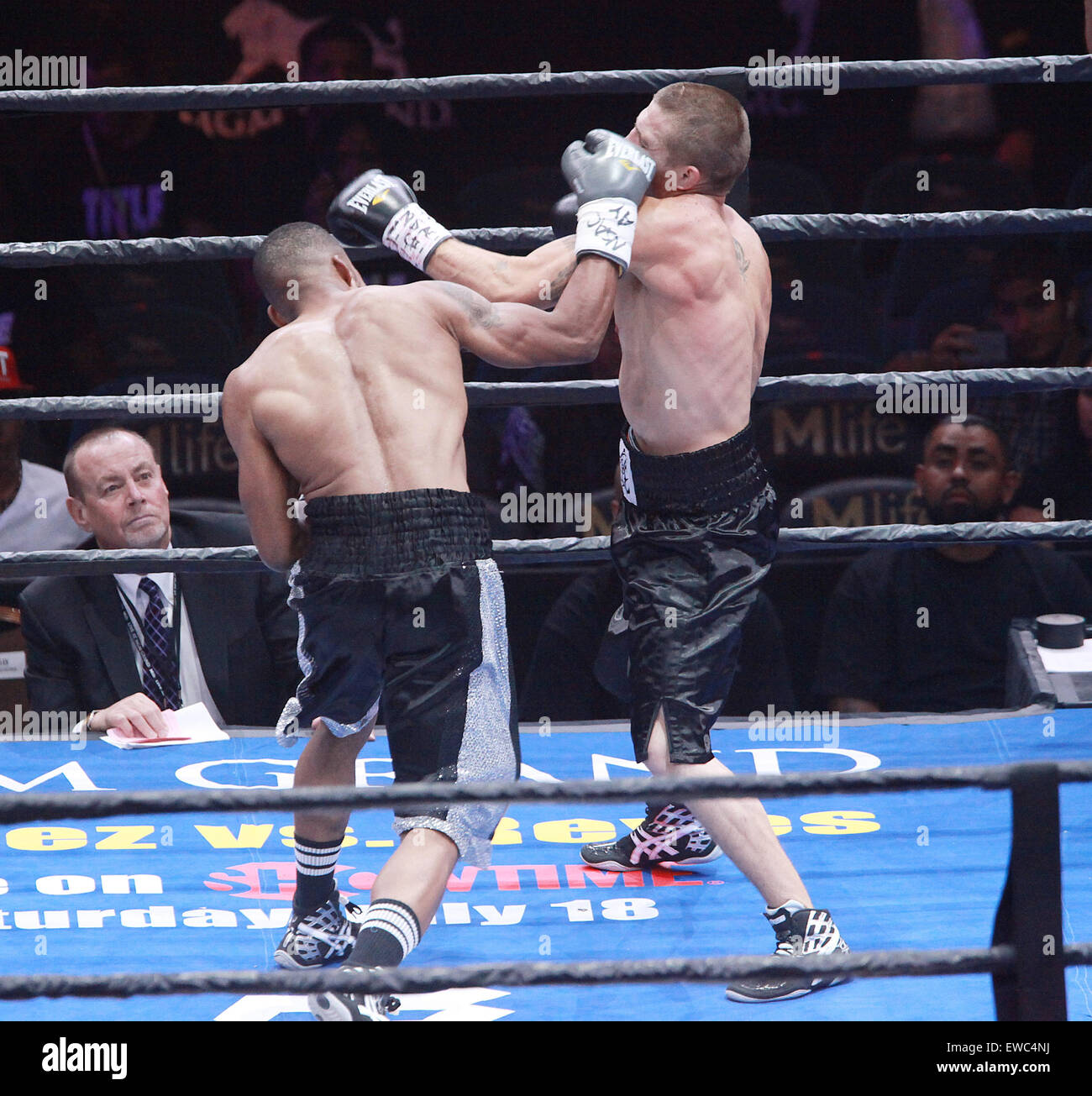 Las Vegas, Nevada, USA. 22nd June, 2015. Boxers Charvis Holifield and ...