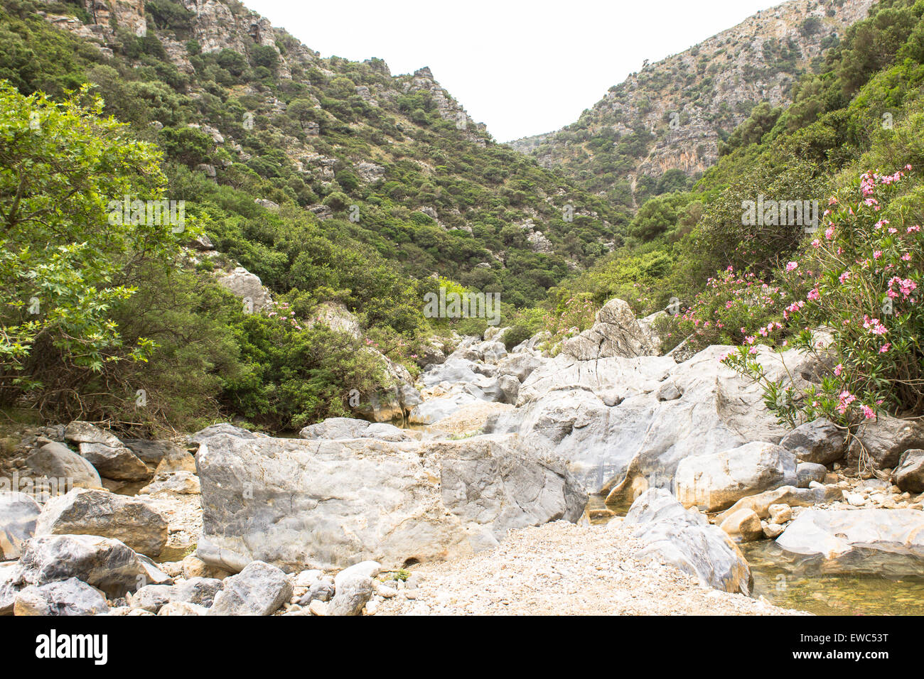 The boulders along the Aposelemi Gorge in Crete Stock Photo - Alamy