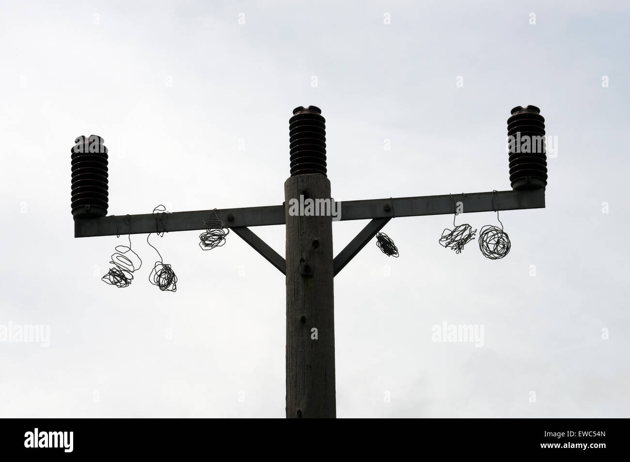 Disused electricity pole after the removal of cables and placed ...