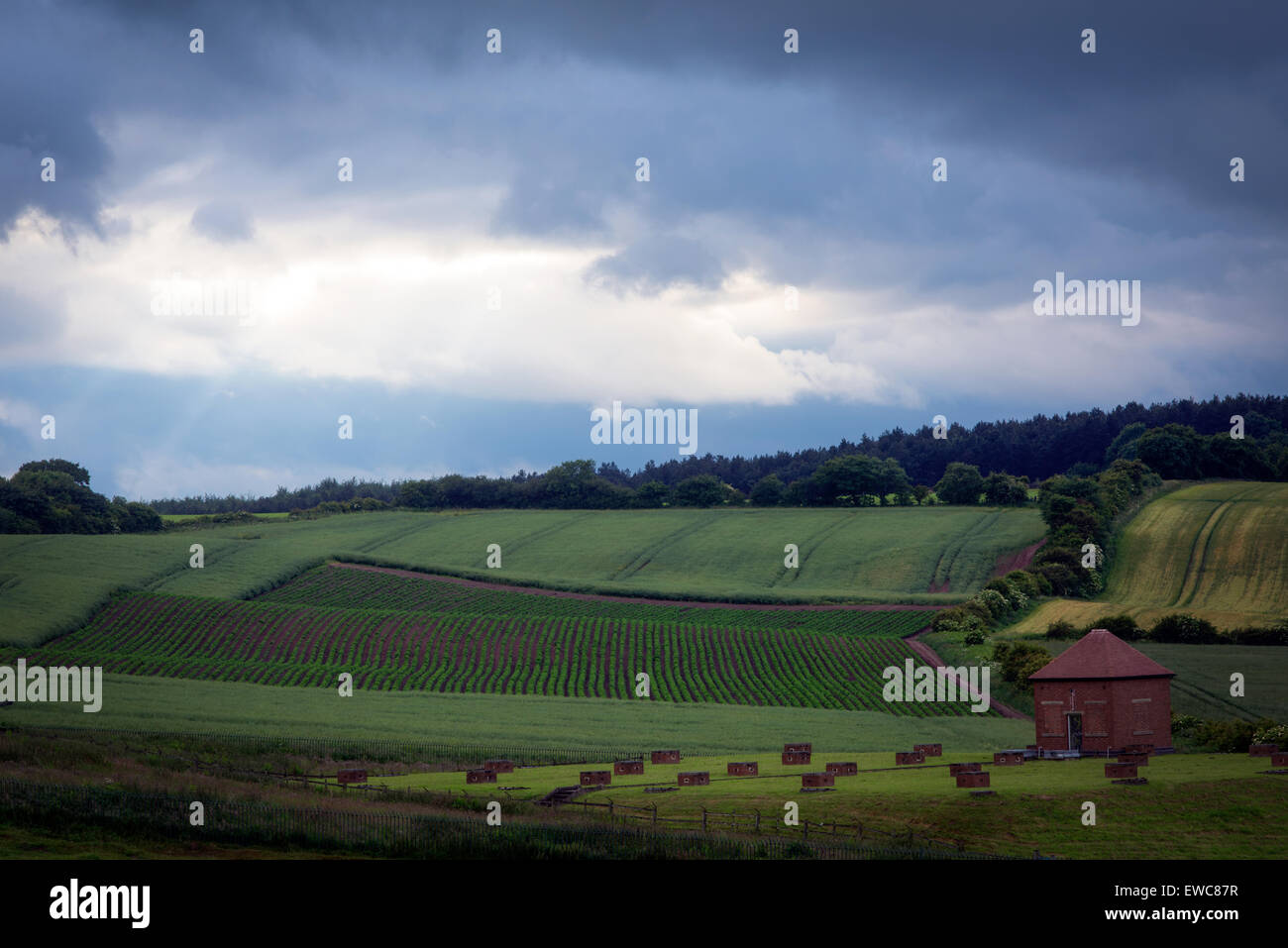 Misk Hills, Hucknall, Nottinghamshire, UK. 22nd June, 2015. Dramatic ...