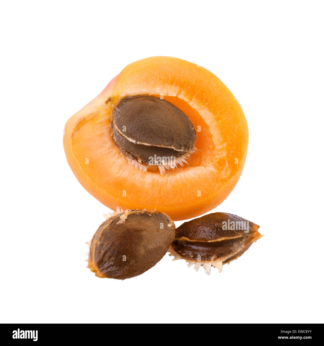 Large core hi-res stock photography and images - Alamy