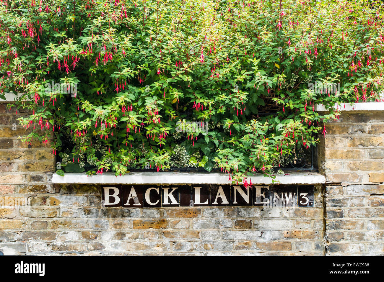 Back Lane Hampstead London NW3 Stock Photo - Alamy