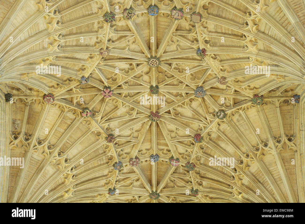 The magnificent medieval Gothic fan vaulted ceiling of Sherborne Abbey ...