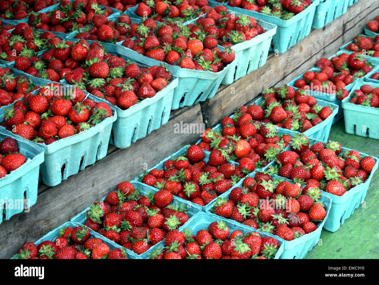 Fresh strawberries in cartons Stock Photo - Alamy