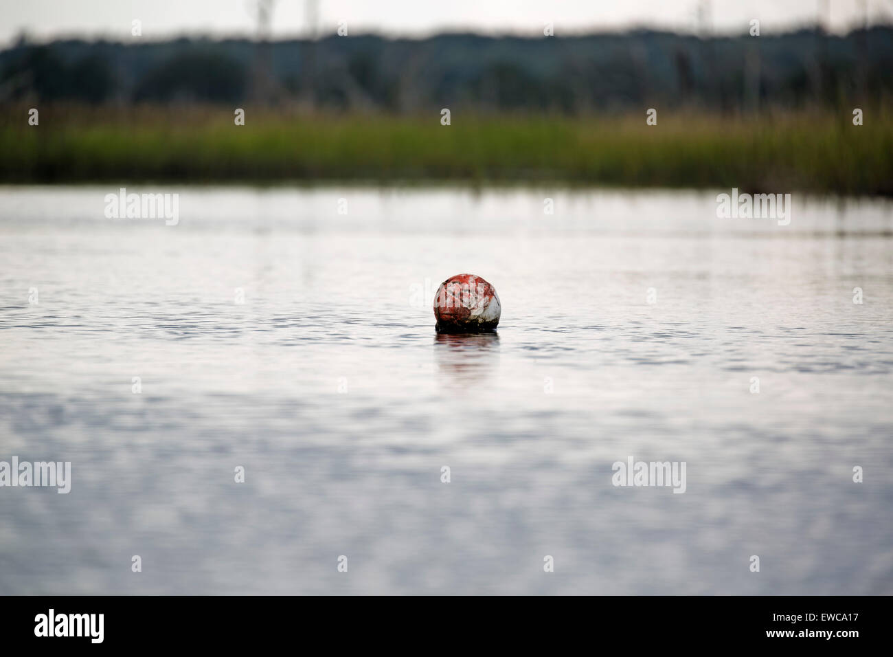 Floating crab hi-res stock photography and images - Alamy