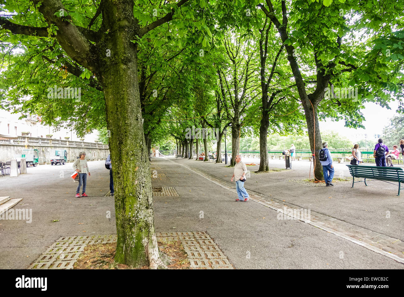 Longest park bench in the world Stock Photo - Alamy