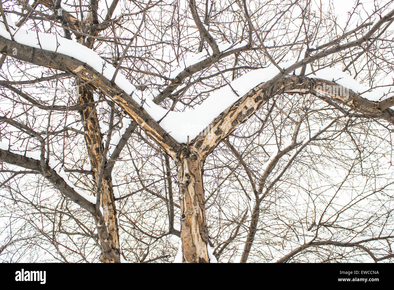 Fallmountain hi-res stock photography and images - Alamy