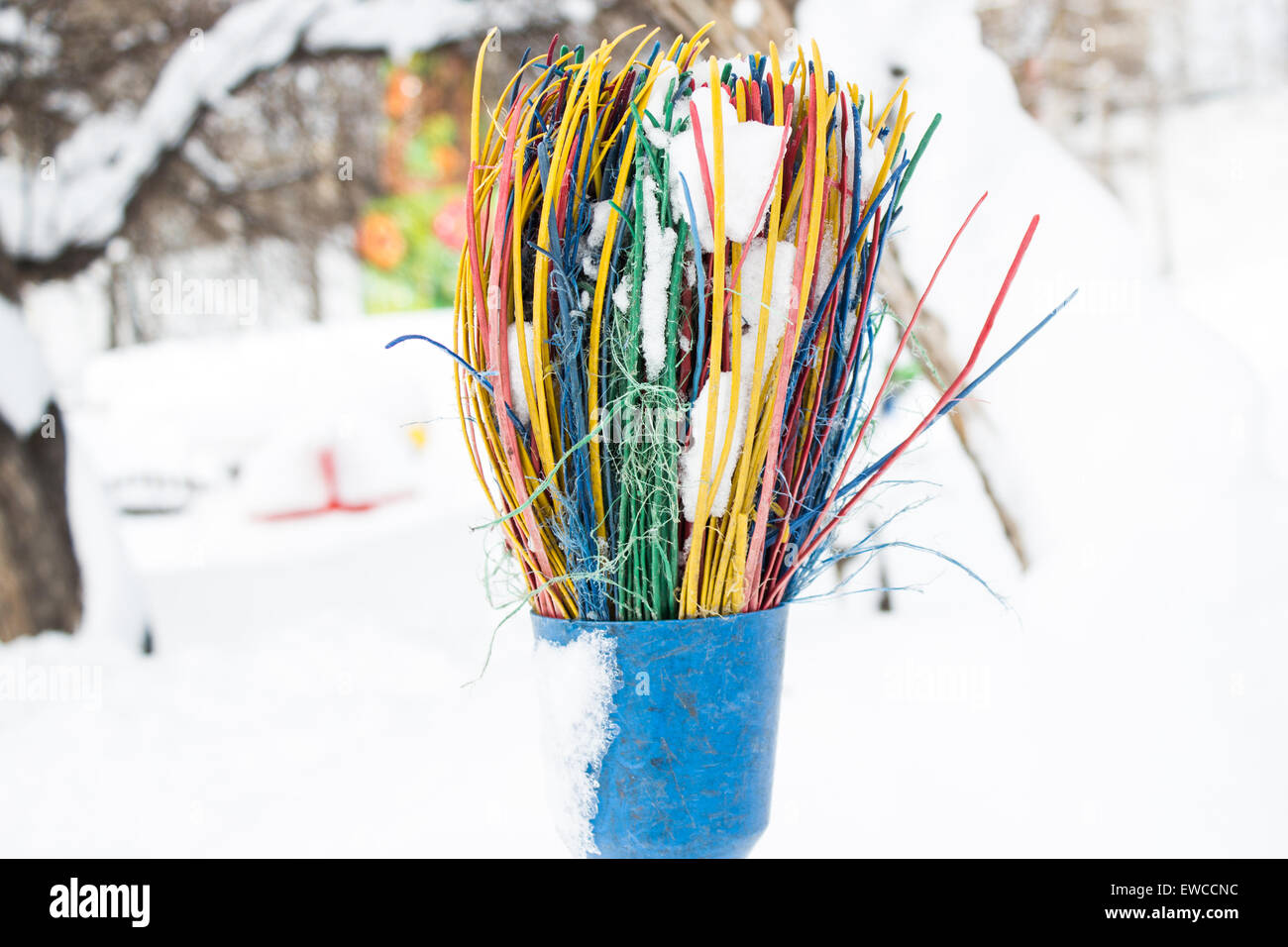 colored broom winter in Snow Stock Photo - Alamy