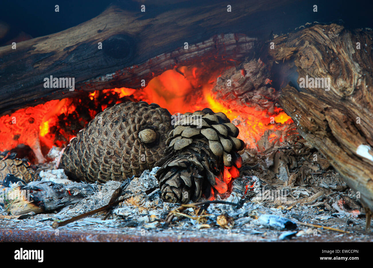 Fireplace log fire flame embers hi-res stock photography and images - Alamy