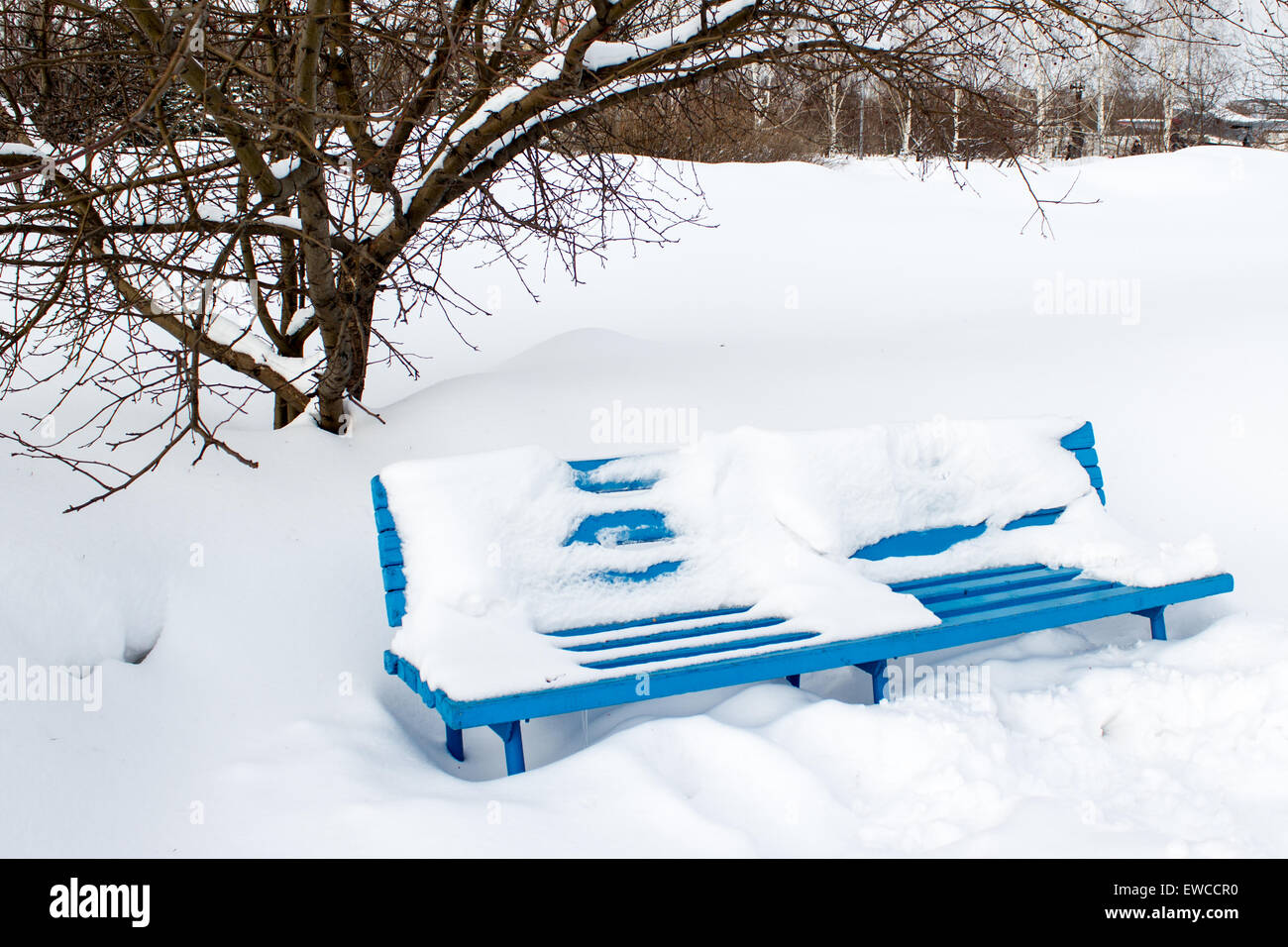 Winter bench in a park covered with snow, under a tree Stock Photo - Alamy