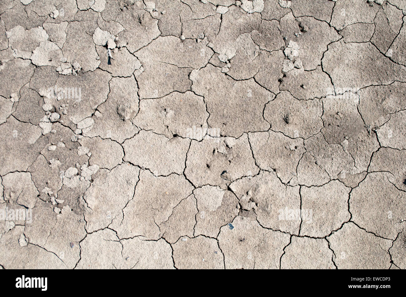 Desert soil crust hi-res stock photography and images - Alamy